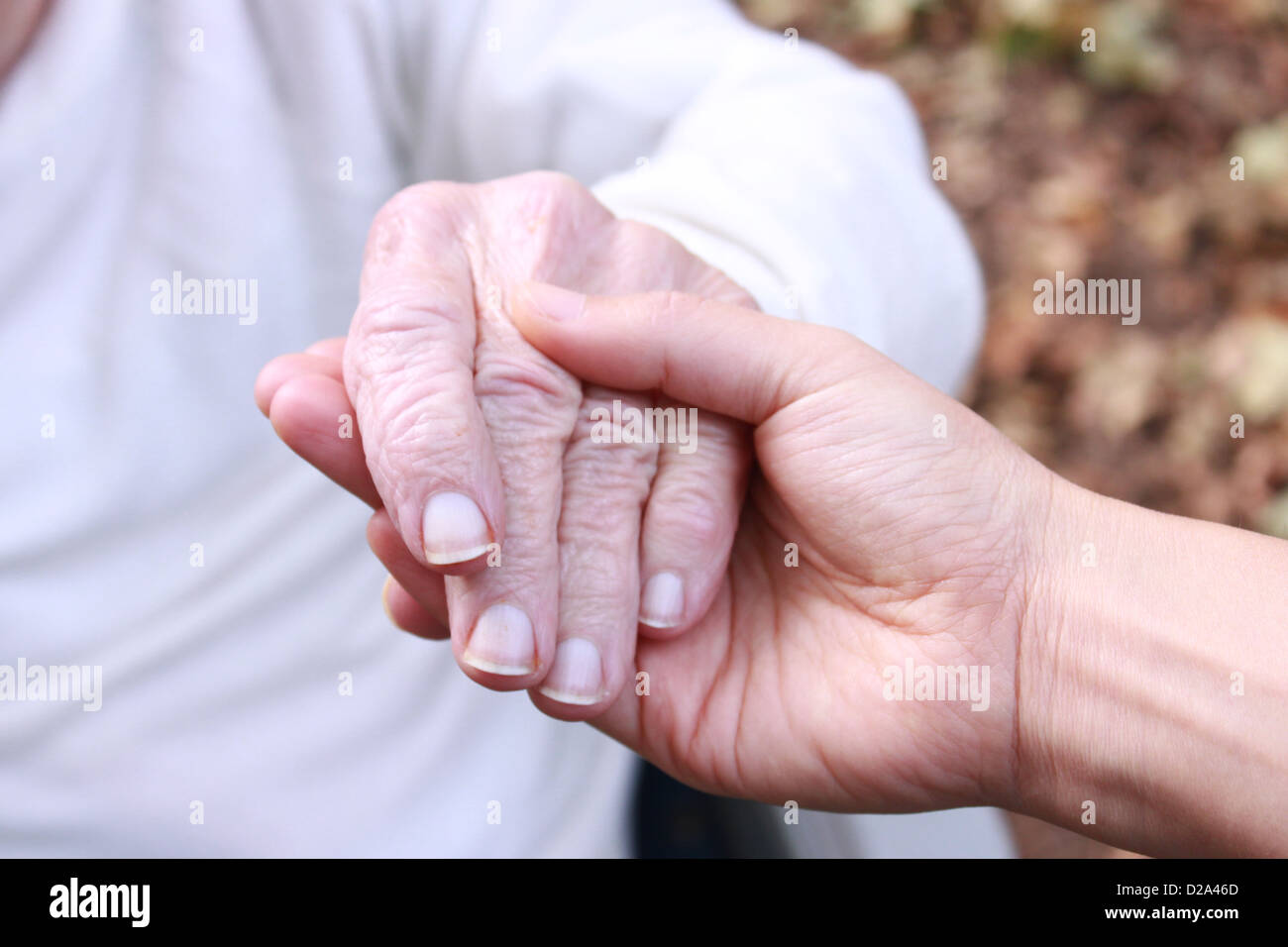 Senior and young woman holding hands over fall leaves background Stock ...