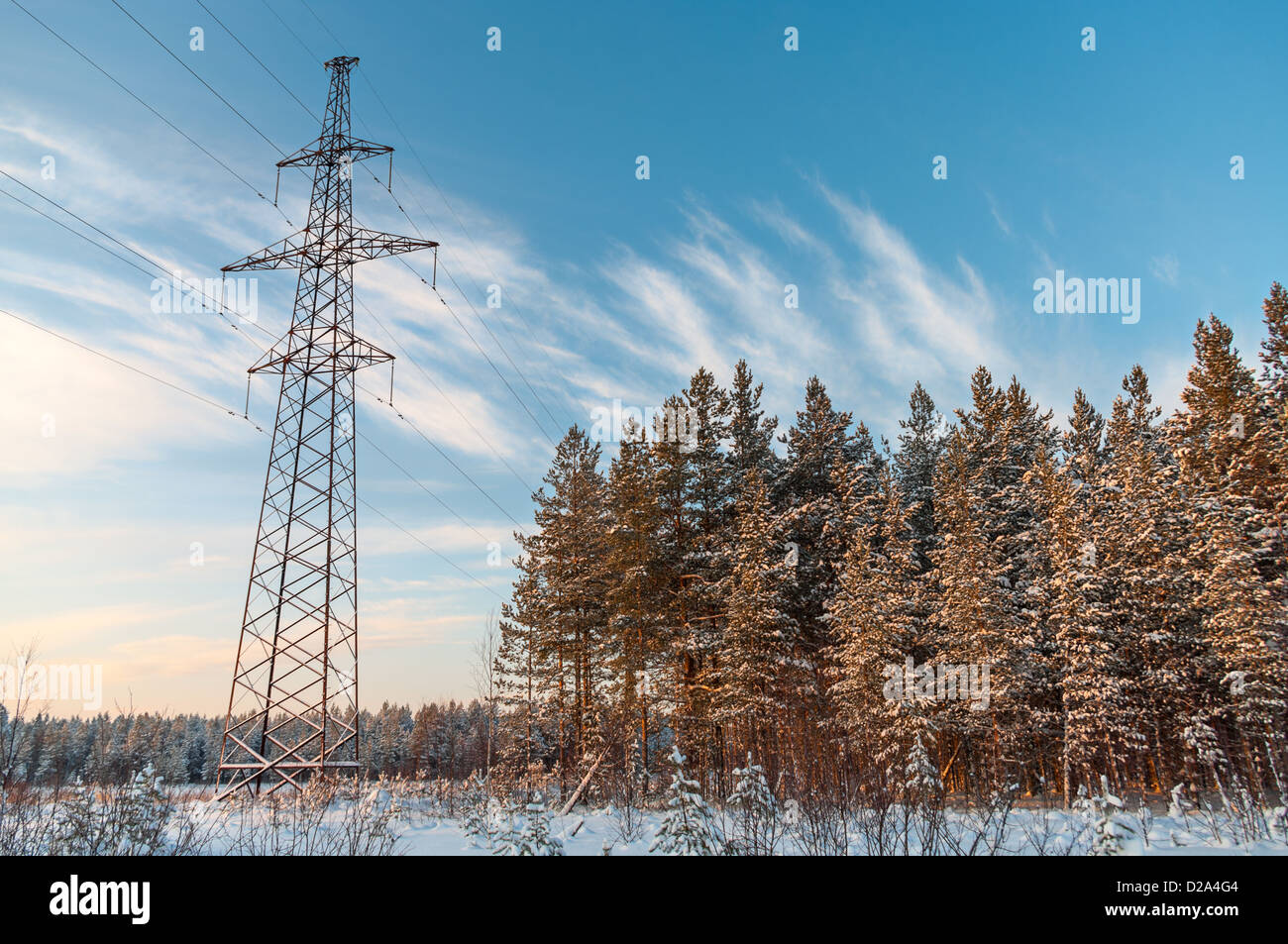 Power high-voltage poles in winter evergreen forest. North of Karelia ...