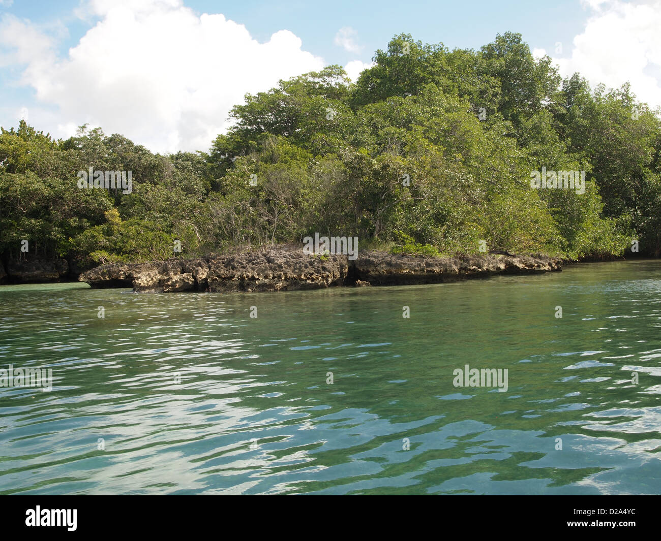 Lots of trees at seaside Stock Photo - Alamy