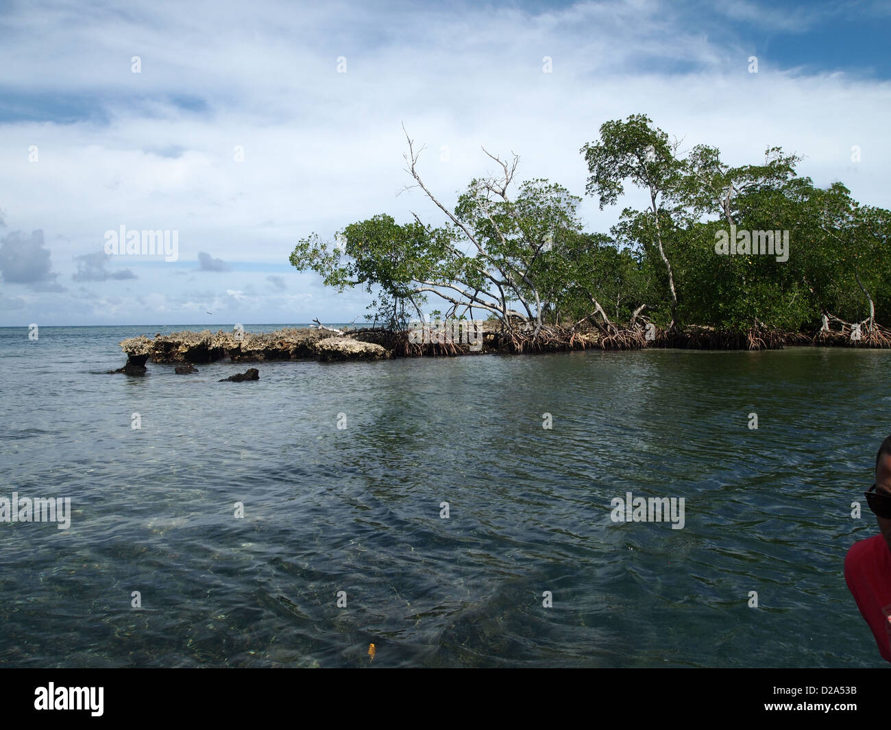 A small stony cape Stock Photo - Alamy
