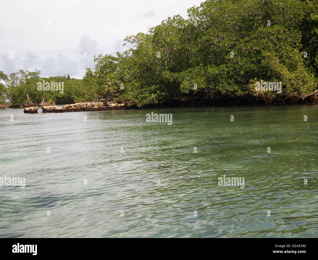 A clean river in a forest Stock Photo - Alamy