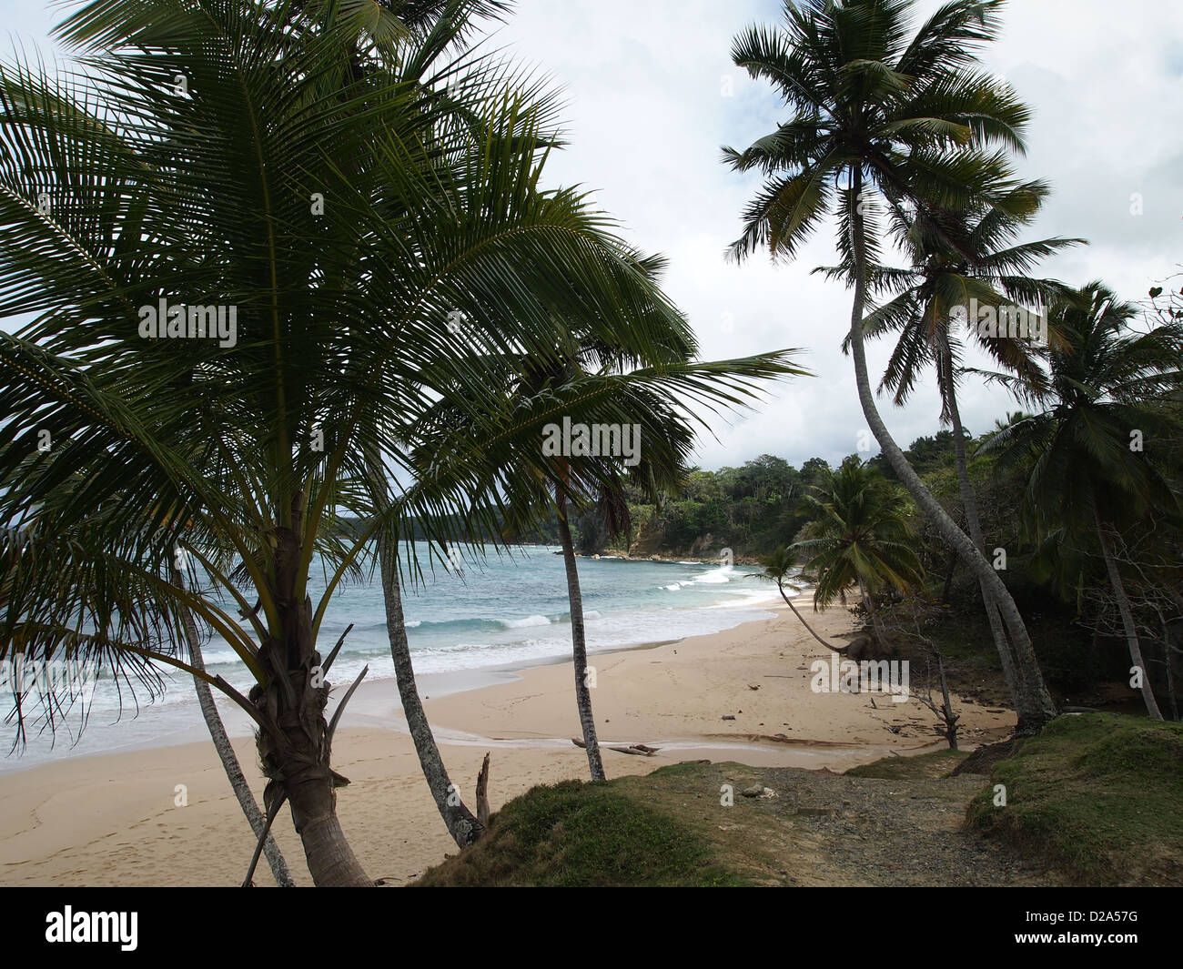Palm trees in a lonely bay Stock Photo - Alamy
