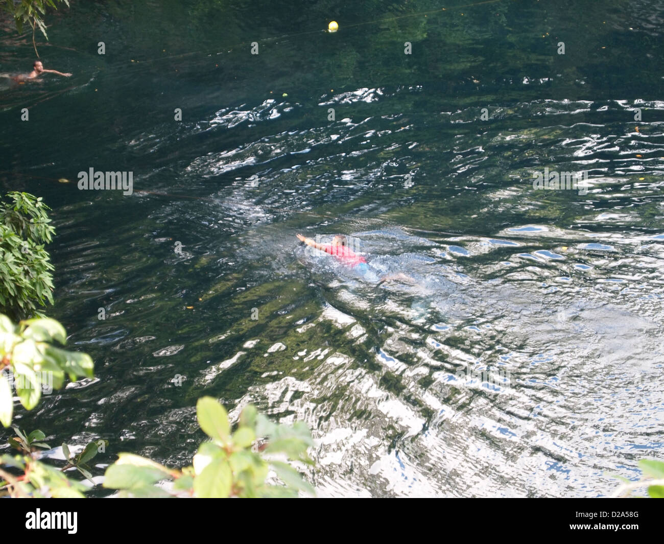 Swimming in a lake Stock Photo - Alamy