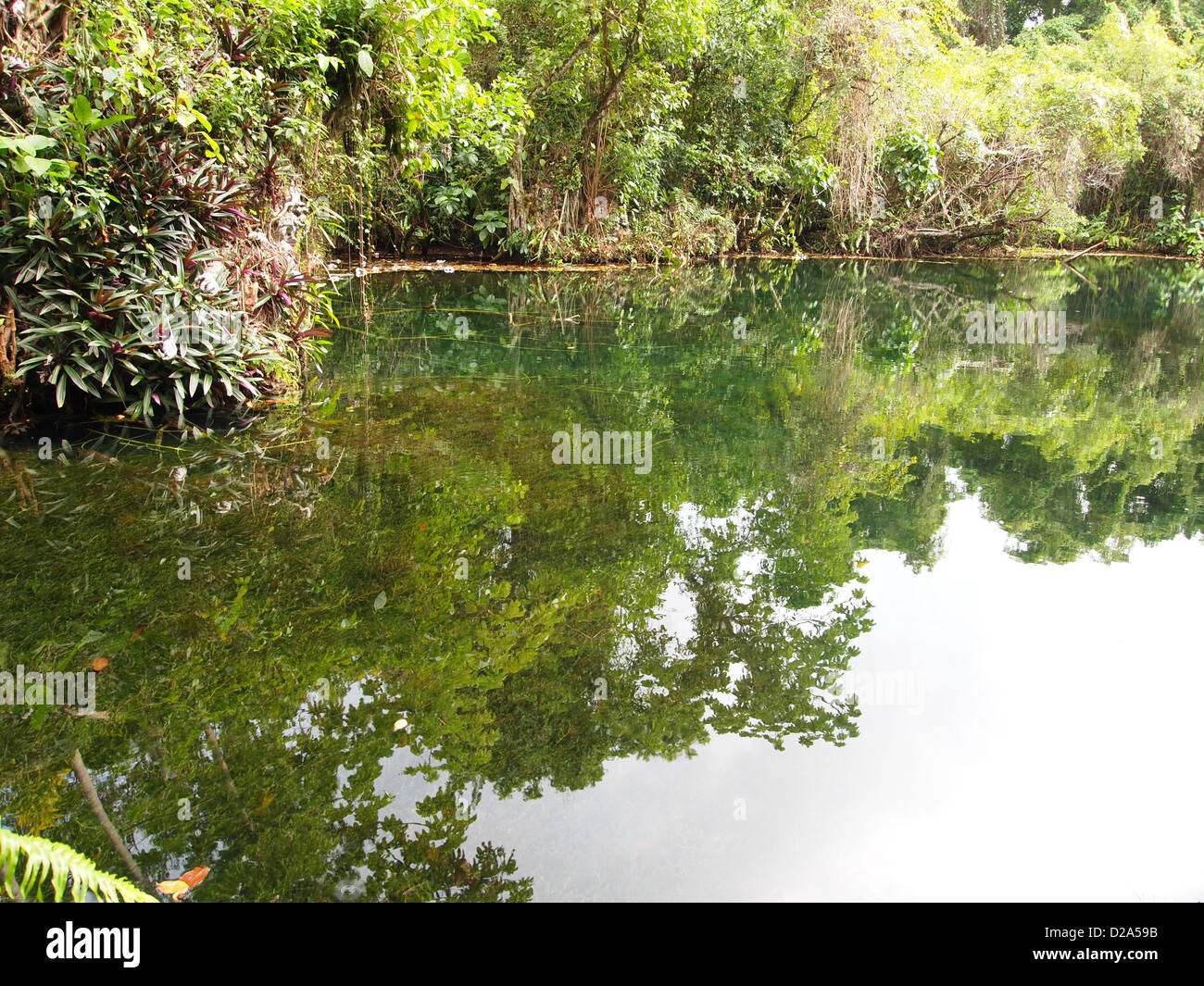 Nice reflection in a lake Stock Photo - Alamy