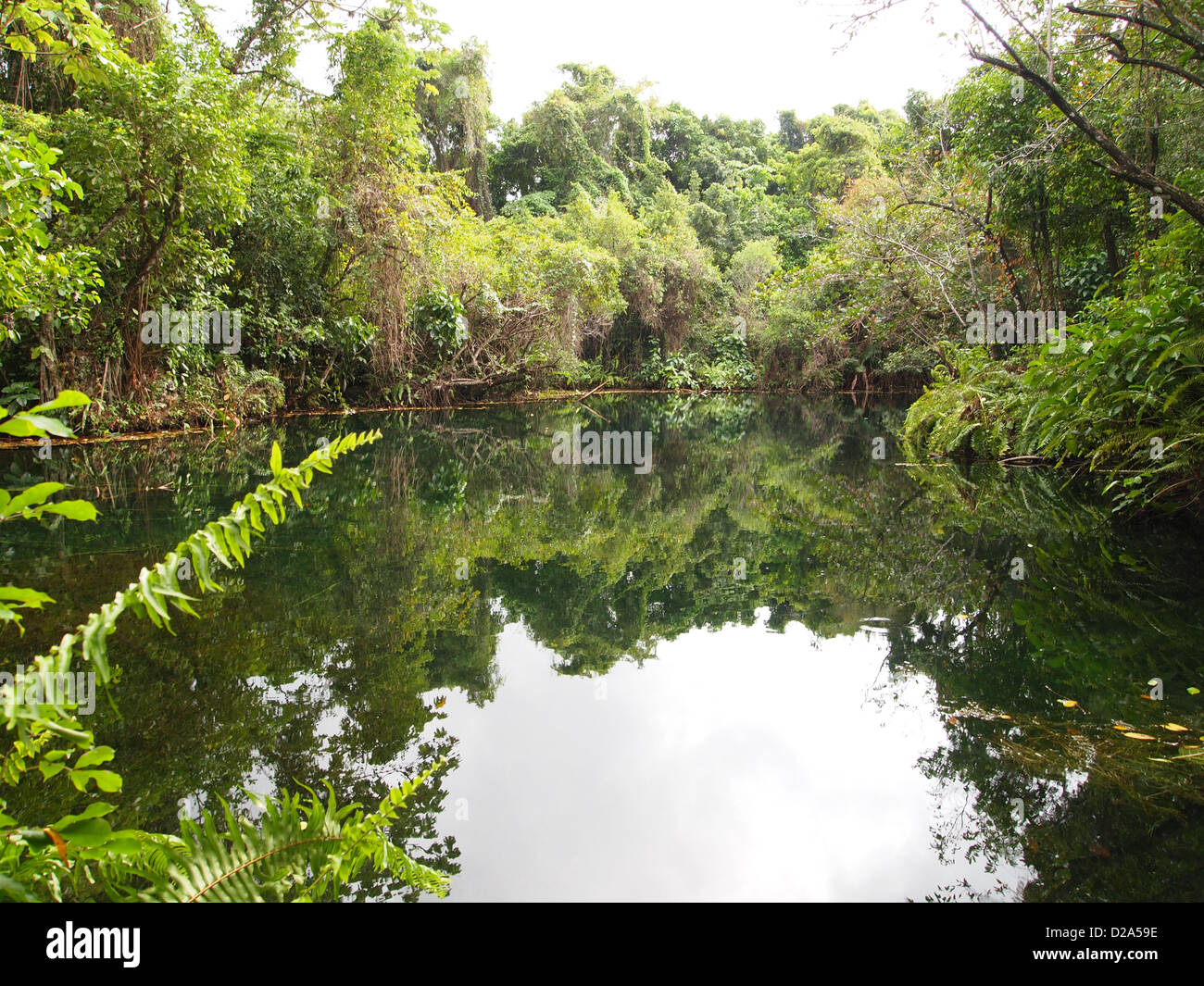 A colorful reflection Stock Photo - Alamy