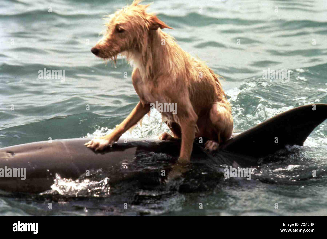 Zeus Roxanne High Resolution Stock Photography and Images - Alamy