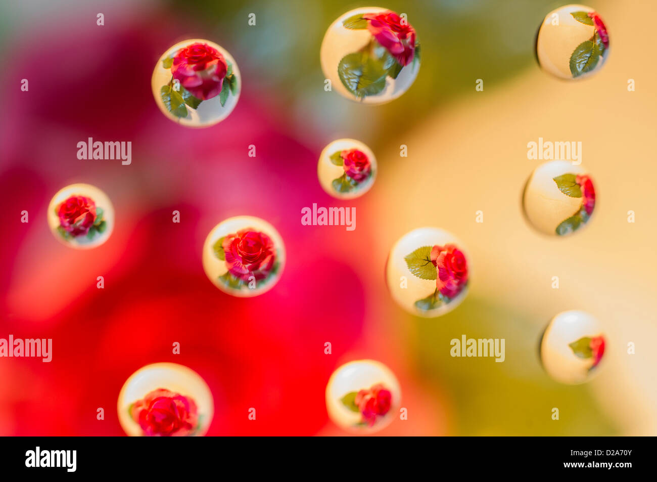Amazing water drops photo with reflection of a flower Stock Photo - Alamy