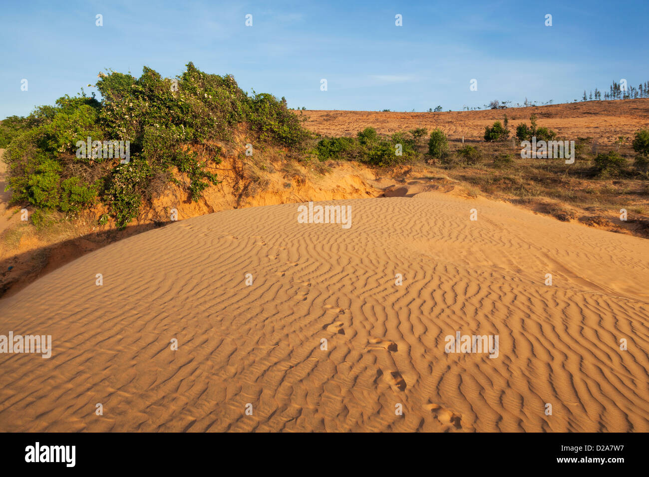 Vietnam, Mui Ne, Sand Dunes Stock Photo - Alamy