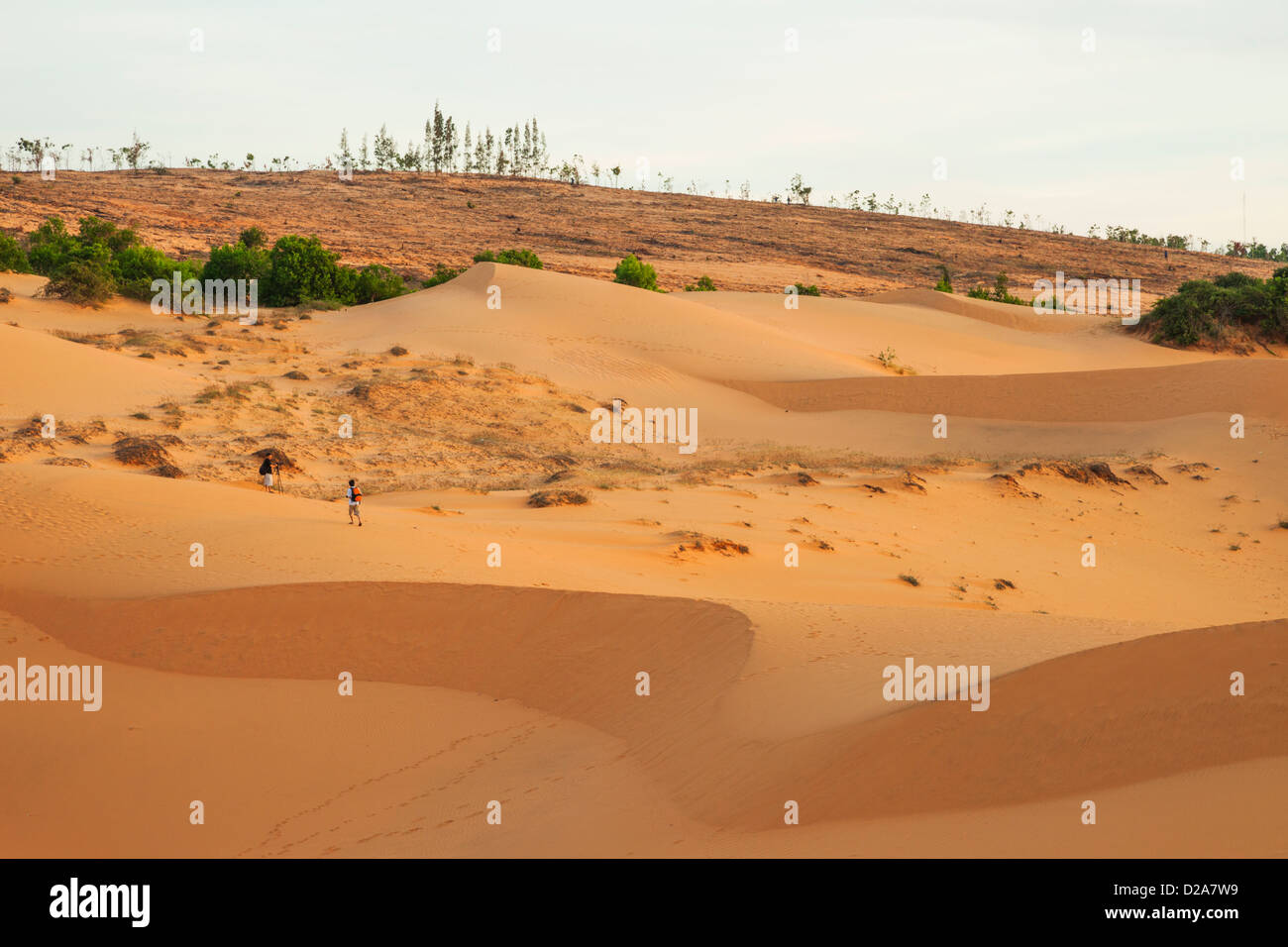 Vietnam,Mui Ne,Sand Dunes Stock Photo - Alamy