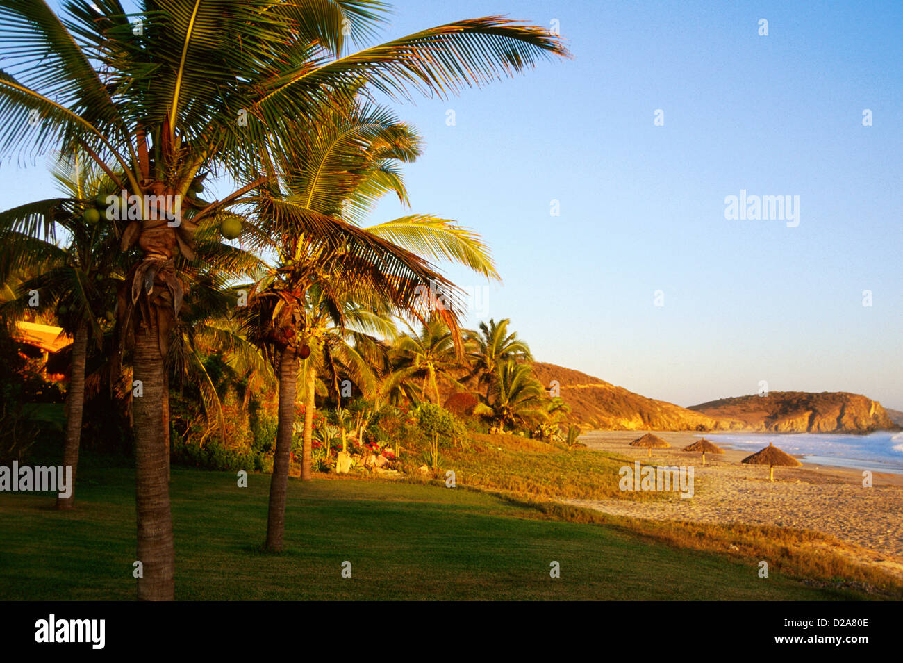 Las alamandas hi-res stock photography and images - Alamy