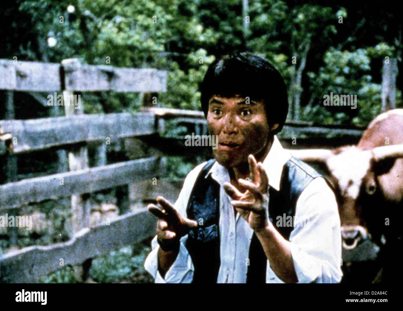 Allen Nennen Mich Bruce They Still Call Me Bruce Johnny Yune Der ...