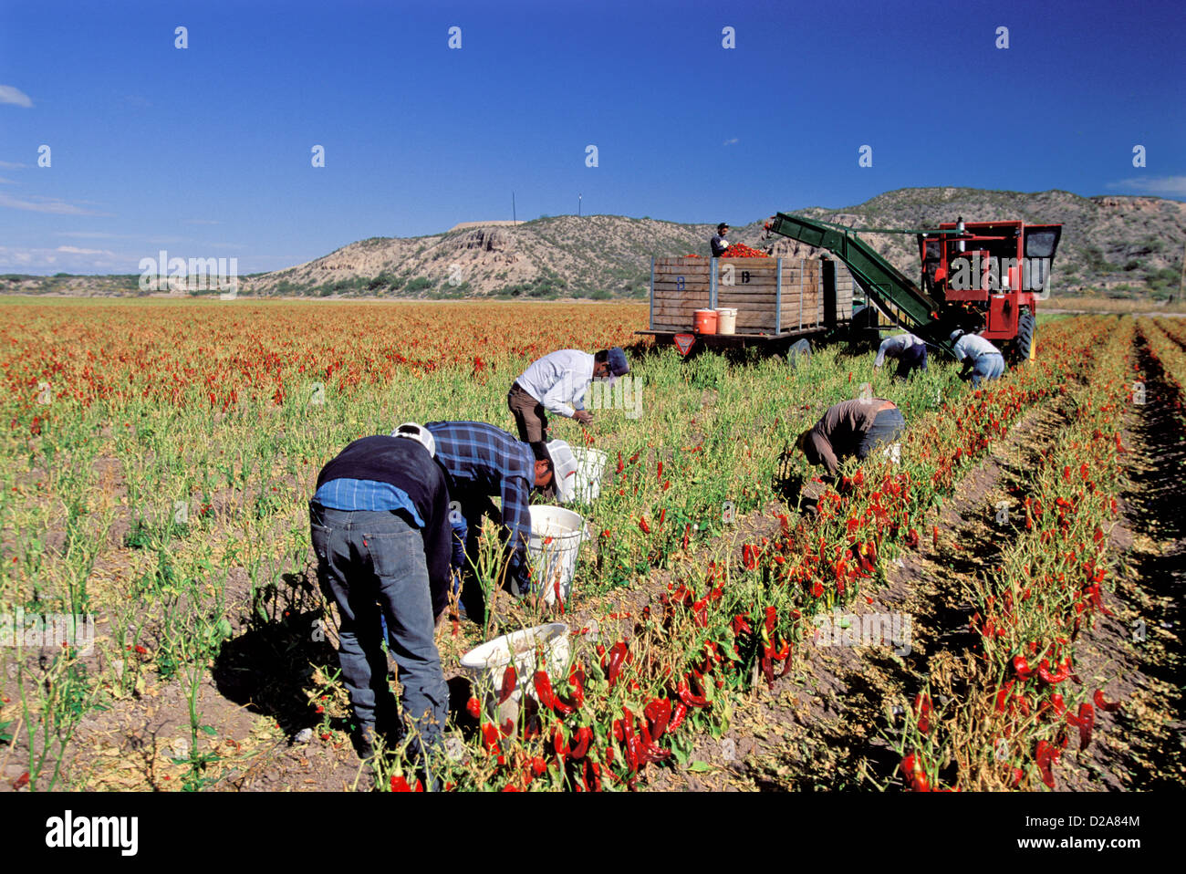 Workers field hi-res stock photography and images - Alamy