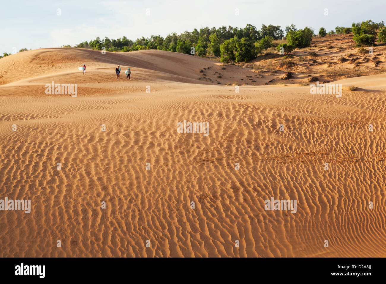 Vietnam, Mui Ne, Sand Dunes and tourists Stock Photo - Alamy