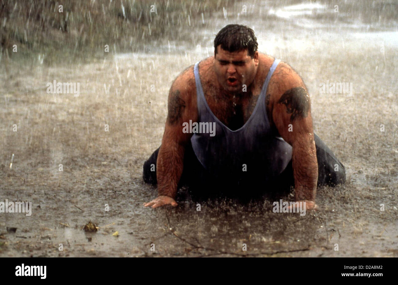 Sumo Bruno Sumo Bruno Hakan Orbeyi *** Local Caption *** 2000 Senator Film Stock Photo - Alamy