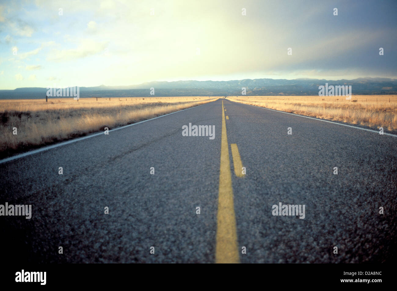 Either hi-res stock photography and images - Alamy