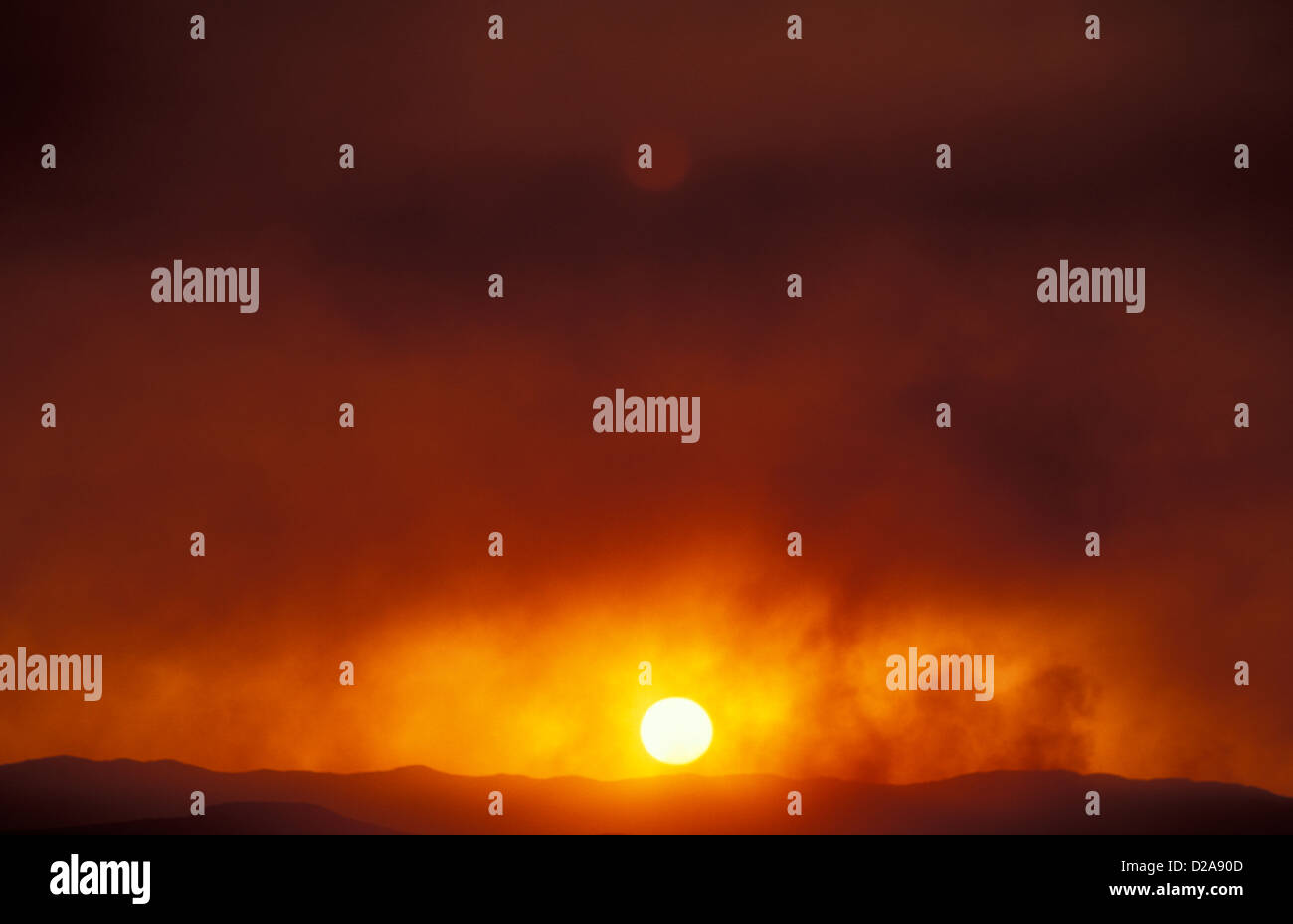 Sun through trees black and white hi-res stock photography and images ...