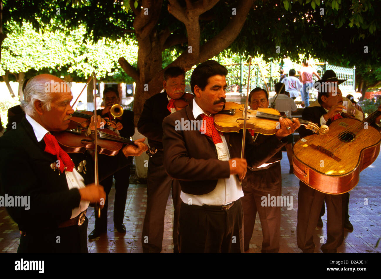 Mexican Mariachi Instruments