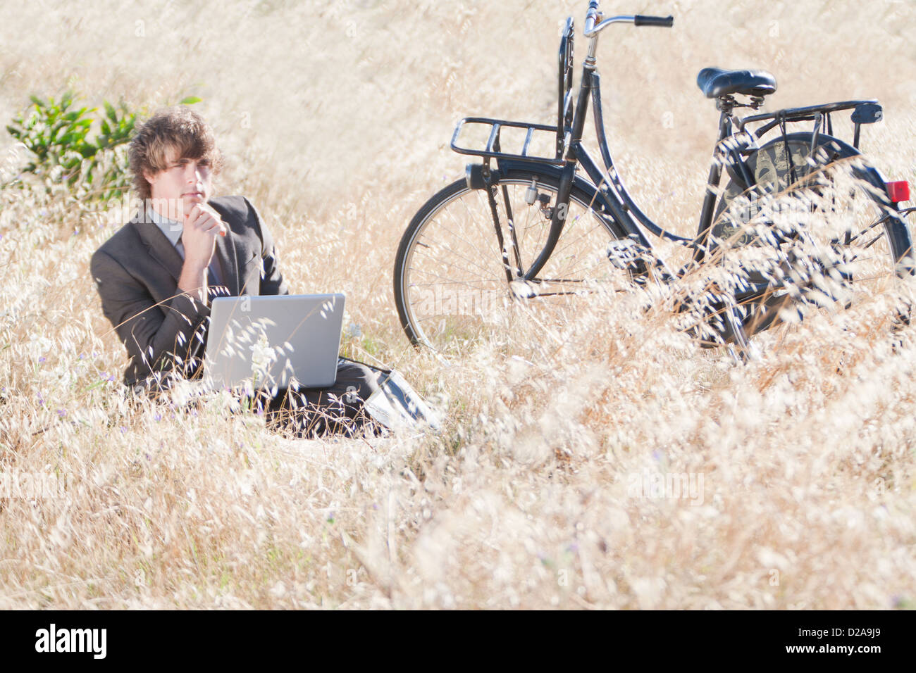 Businessman working in tall grass Stock Photo - Alamy
