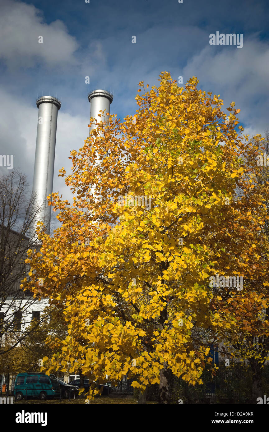 Berlin, Germany, maple tree in front of the CHP center HKW Stock Photo ...