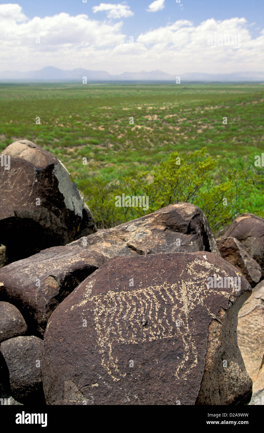 New Mexico. Petroglyphs. Three Rivers National Recreation Site Stock ...