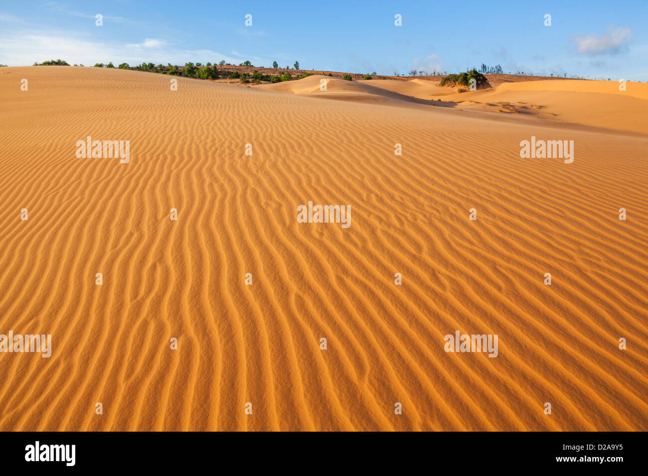 Vietnam, Mui Ne, Sand Dunes Stock Photo - Alamy
