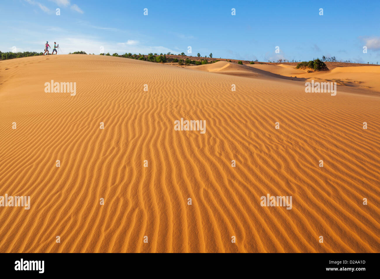 Vietnam, Mui Ne, Sand Dunes and Tourists Stock Photo - Alamy