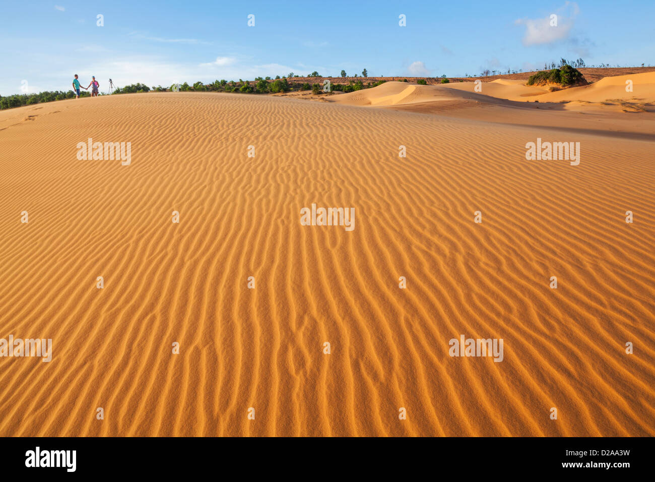 Vietnam, Mui Ne, Sand Dunes and Tourists Stock Photo - Alamy