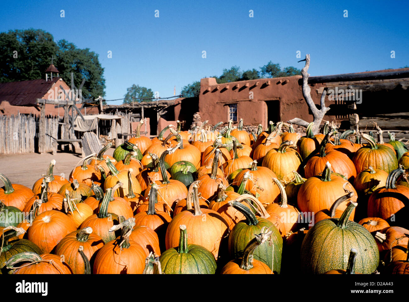 New Mexico, Santa Fe. Fall Harvest At El Rancho De Las Golondrinas ...
