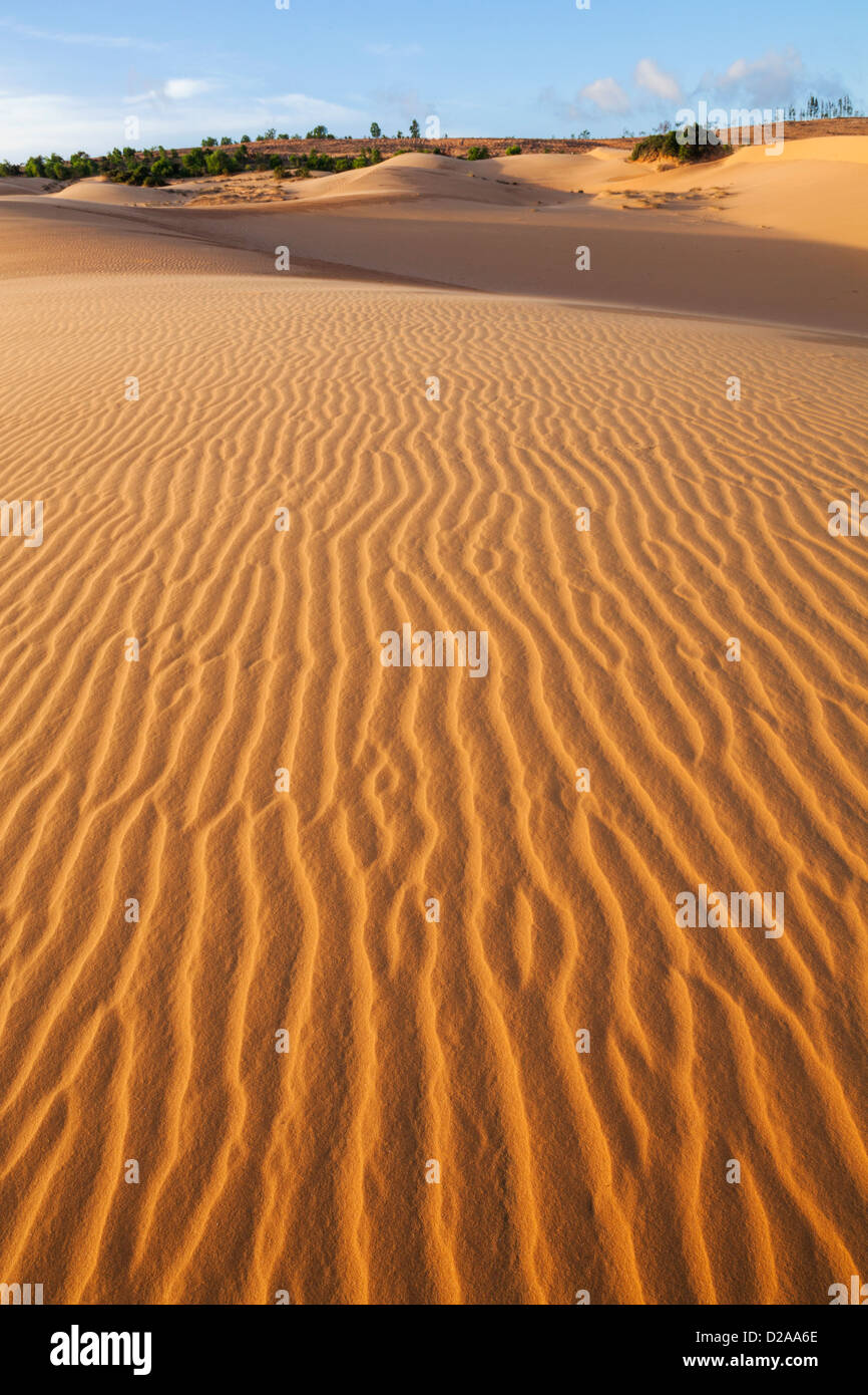 Vietnam, Mui Ne, Sand Dunes Stock Photo - Alamy