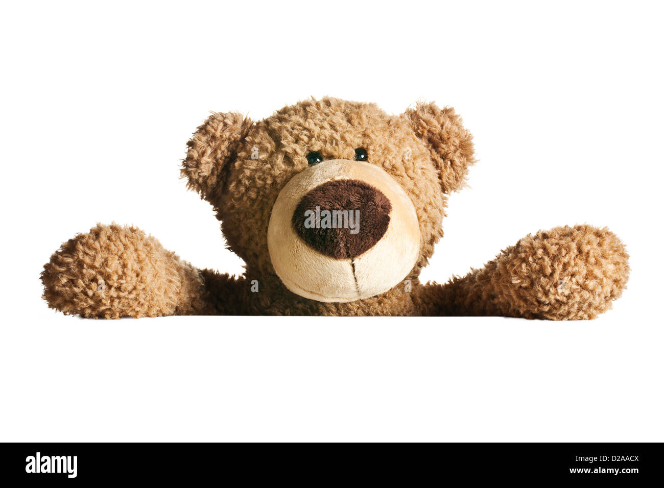 Teddy behind wall hi-res stock photography and images - Alamy