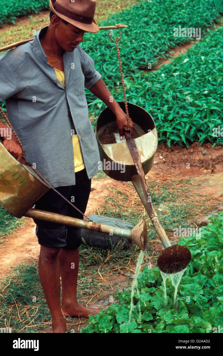 Watering crops hi-res stock photography and images - Alamy
