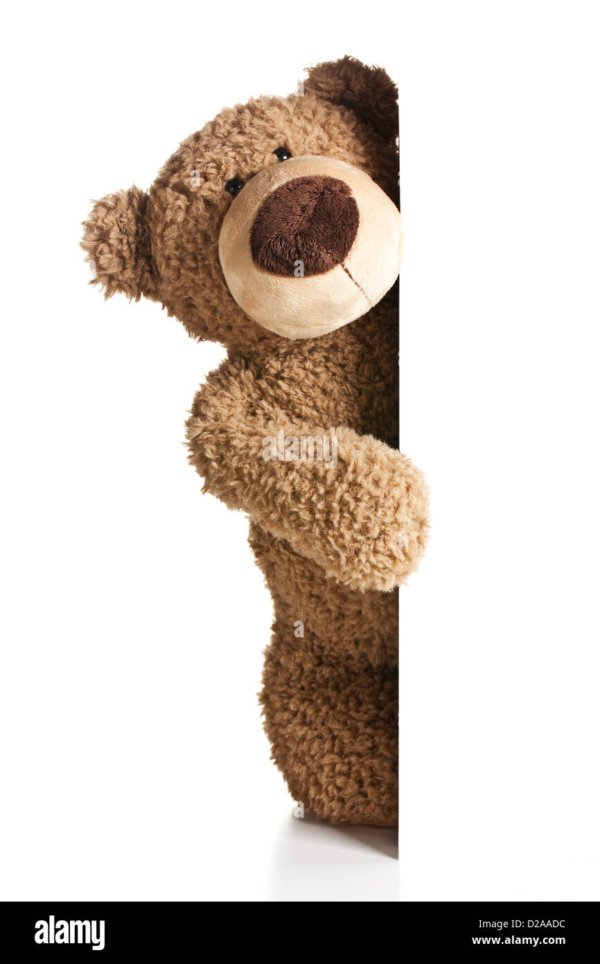 Teddy behind wall hi-res stock photography and images - Alamy