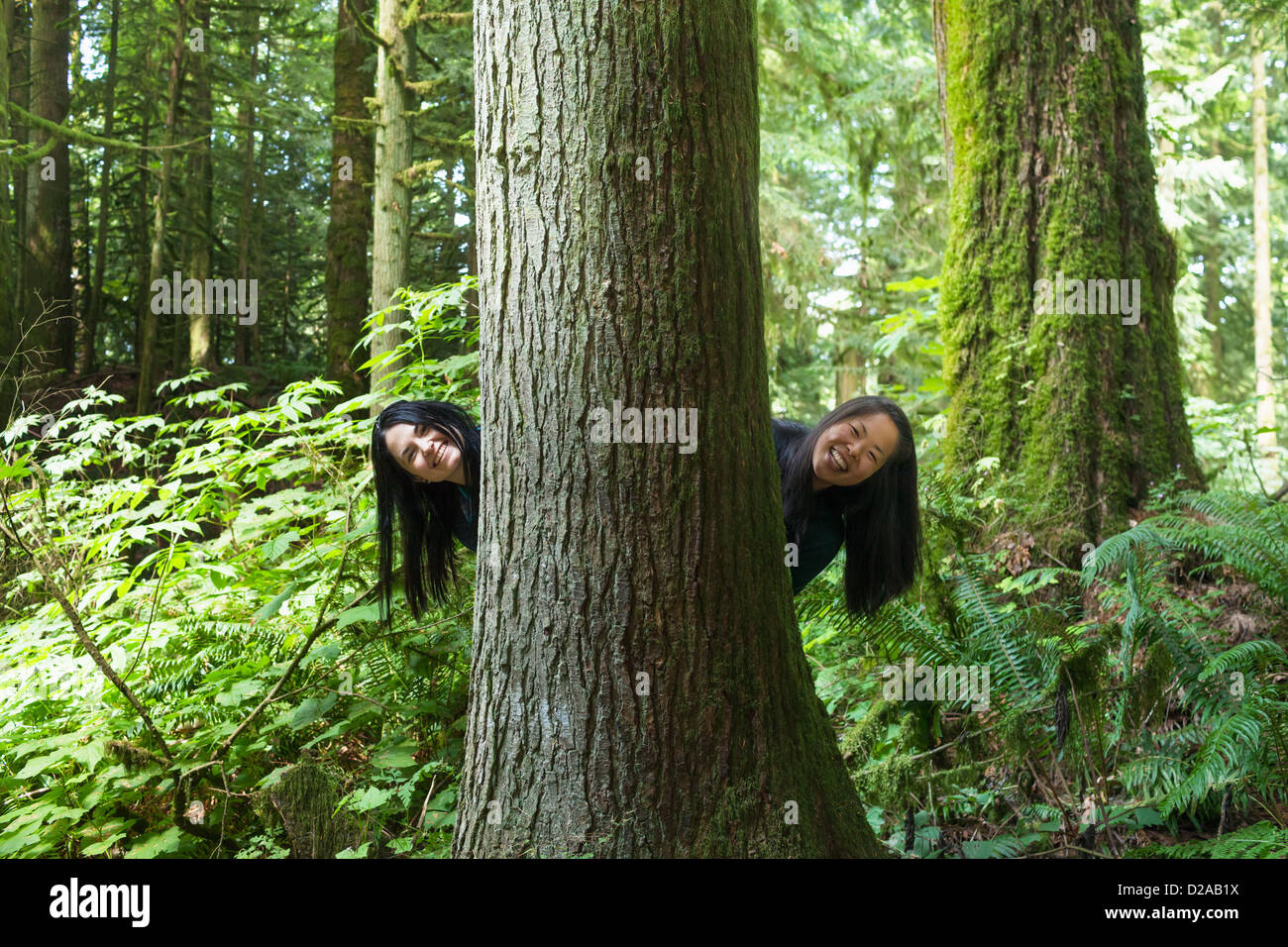 Women peeking out from behind tree Stock Photo - Alamy