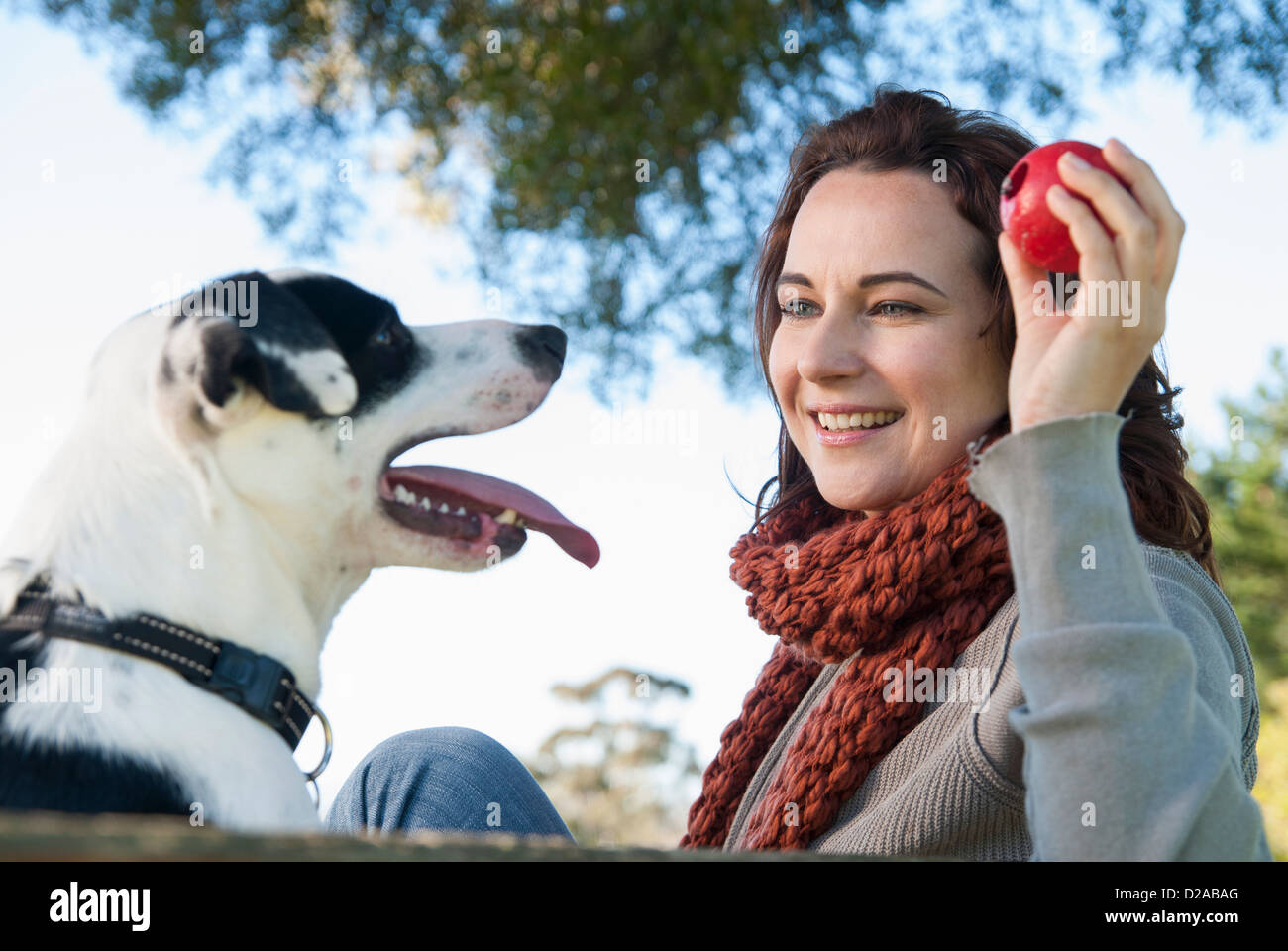 Fetch with dog hi-res stock photography and images - Alamy