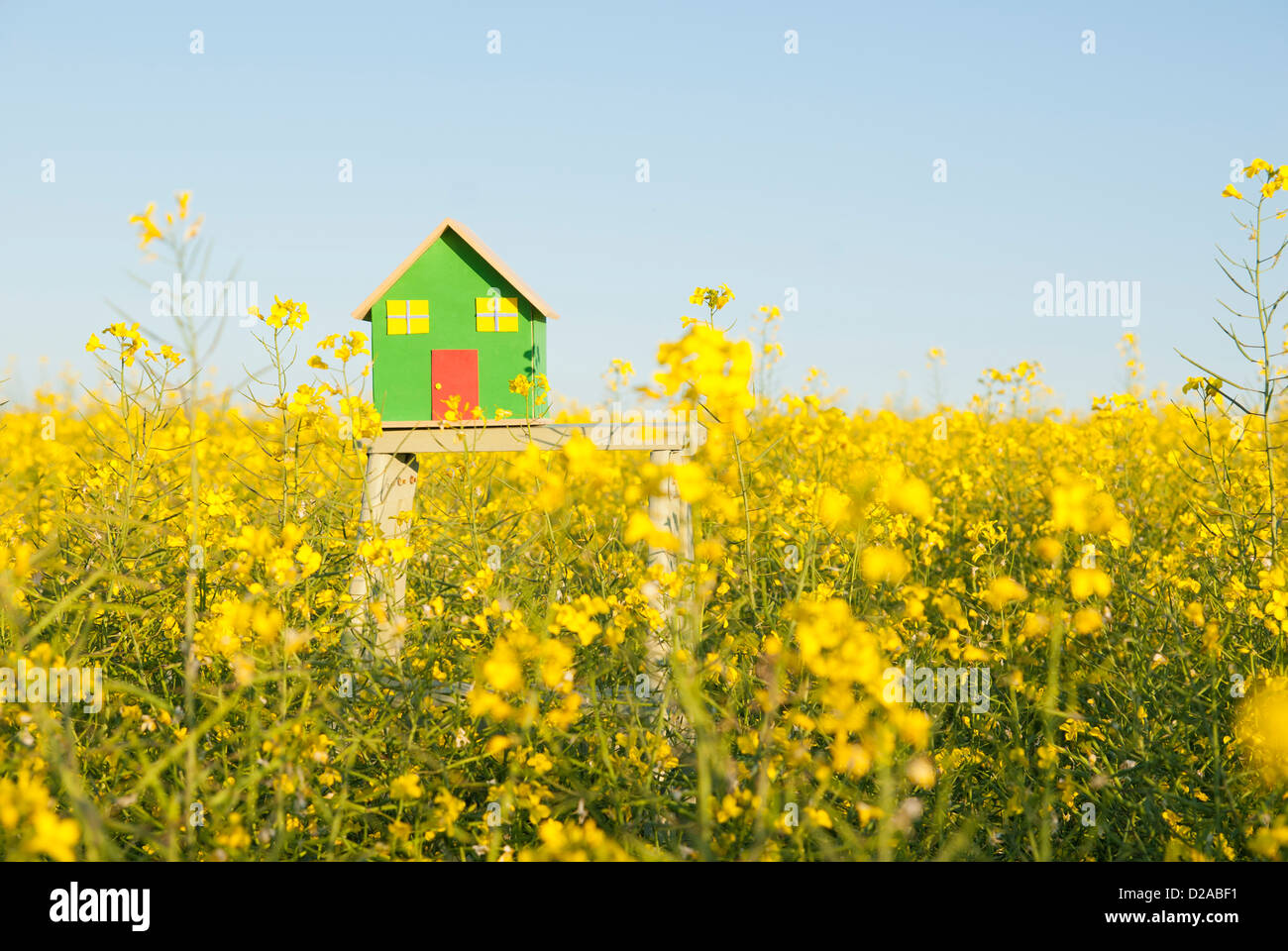 Wildflower field house hi-res stock photography and images - Alamy