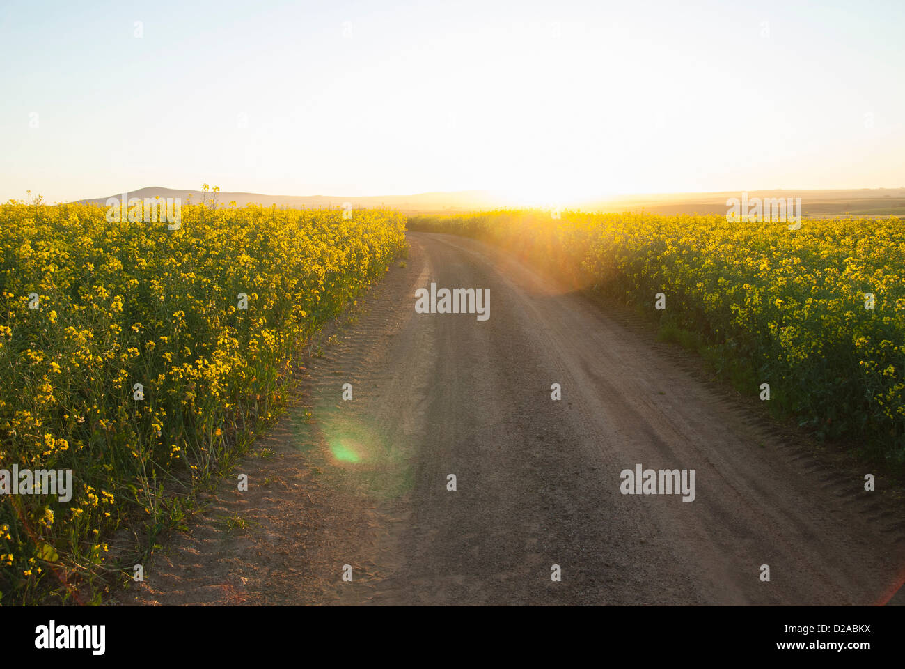 Free path field hi-res stock photography and images - Alamy