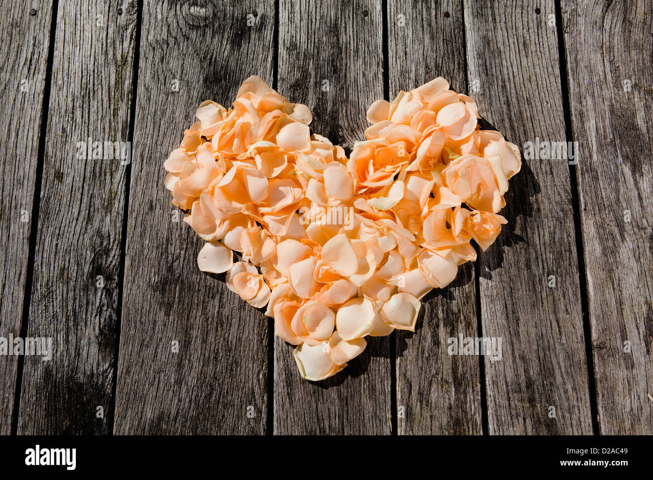 Petal formation hi-res stock photography and images - Alamy