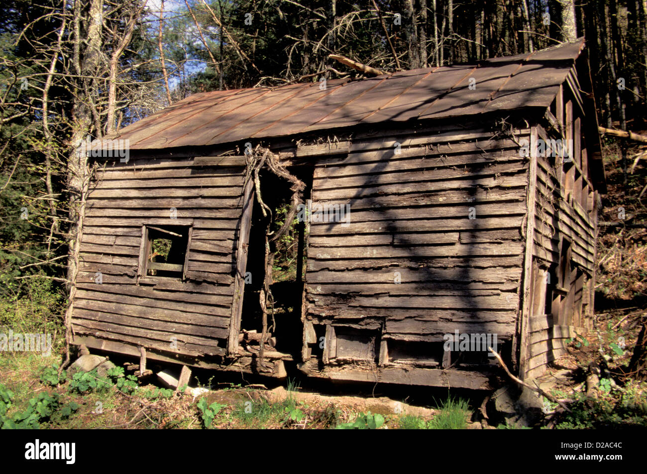 Virginia, Rural Backwoods, Dilapidated Log Cabin Stock Photo - Alamy