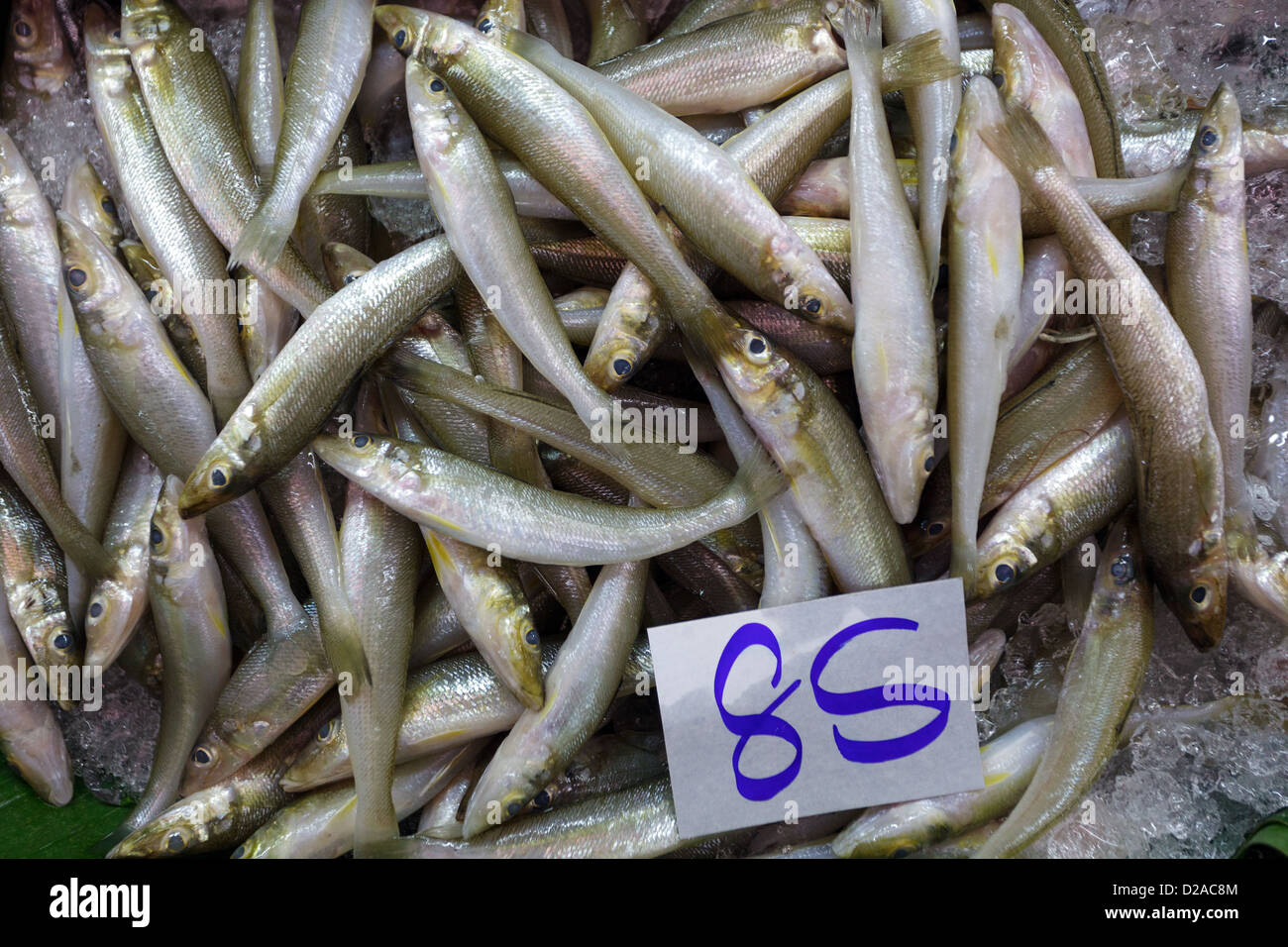 Fresh small fishes in asian market, Thailand Stock Photo - Alamy