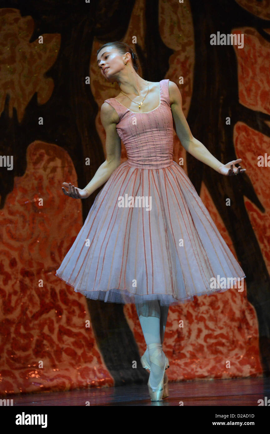 Moscow, Russia. 17th January 2013. Pictured: Moscow Press preview of ...