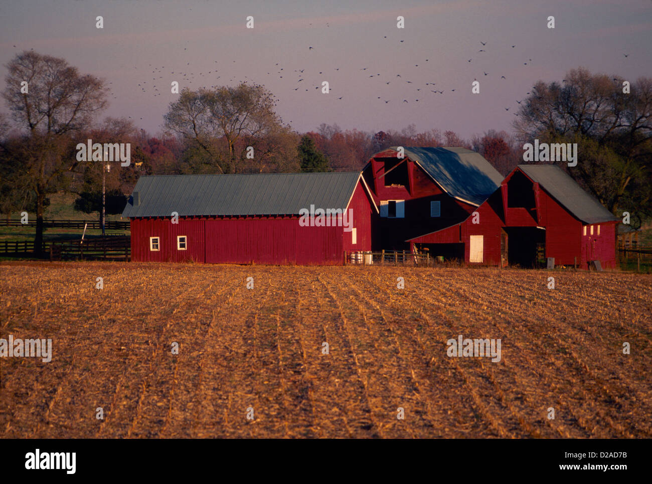 Virginia field hi-res stock photography and images - Alamy