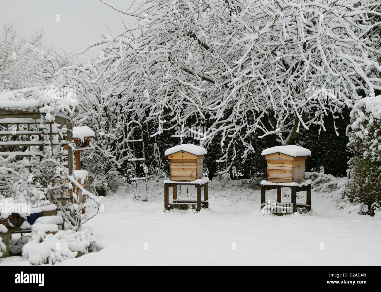 Honey bee hives in winter snow Stock Photo - Alamy