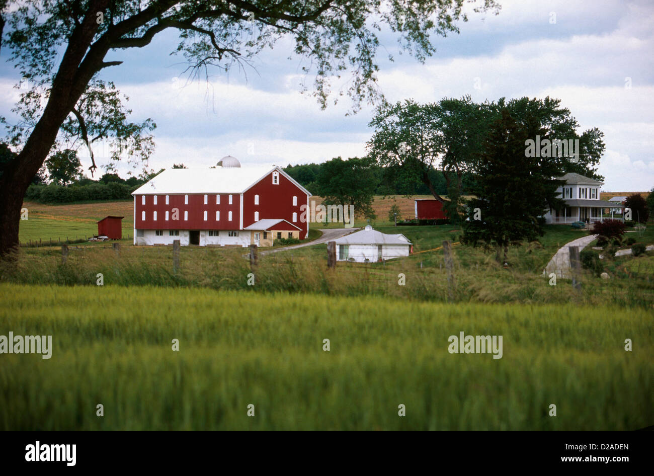 Farmhouse with barn hi-res stock photography and images - Alamy