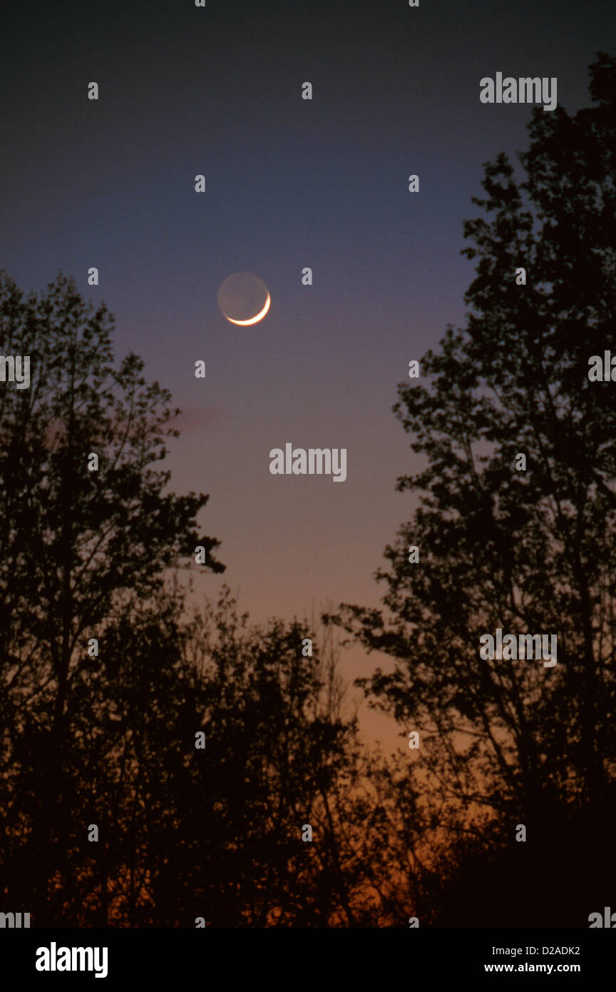 Moonrise High Resolution Stock Photography and Images - Alamy