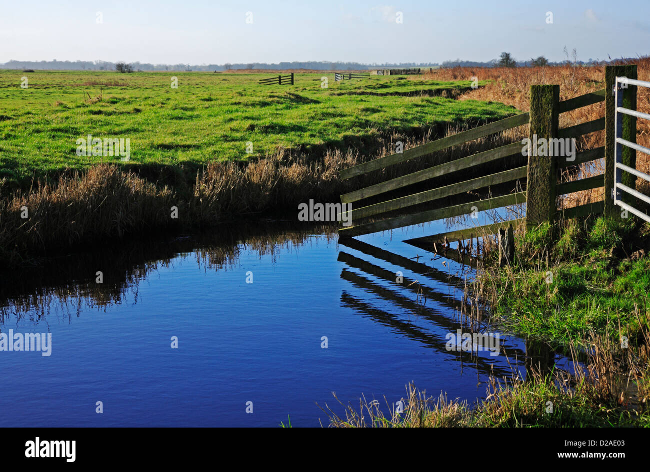 A drainage channel with cattle restraining fence at Wickhampton Marshes ...