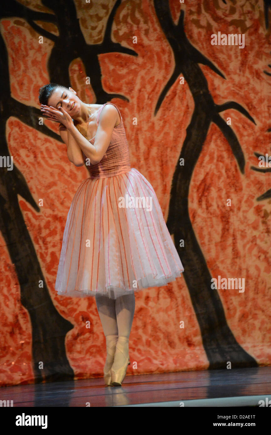 Moscow, Russia. 17th January 2013. Pictured: Moscow Press preview of ...