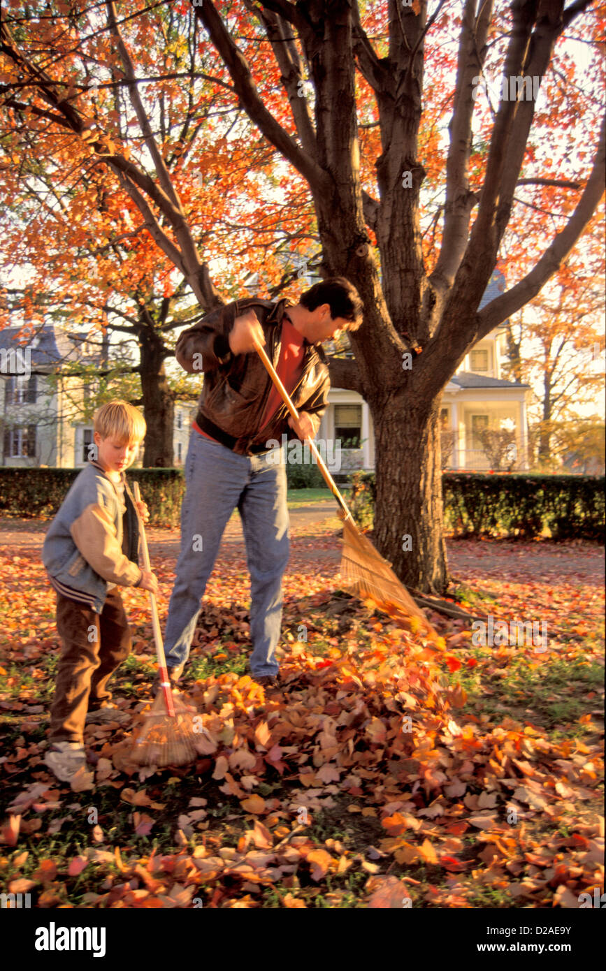 Father And Son Raking Fall Leaves Stock Photo - Alamy