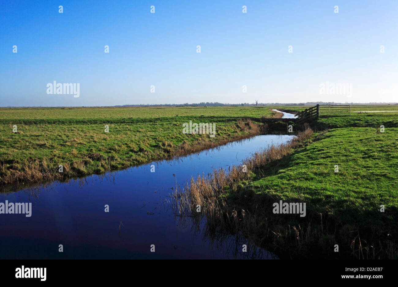 A land drainage channel running through grazing marshes at Wickhampton ...
