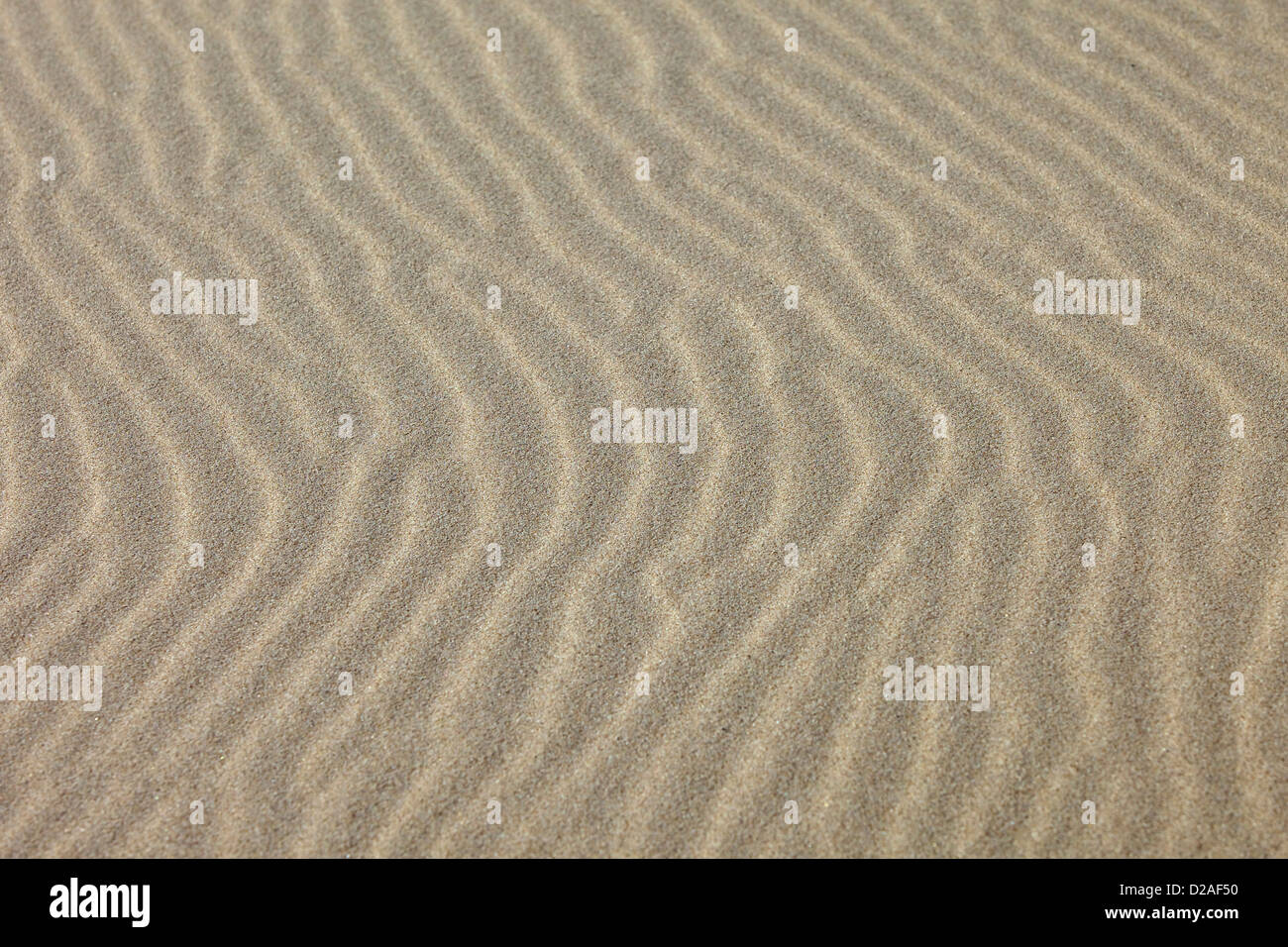 wind formed ripples in beach sand Stock Photo - Alamy