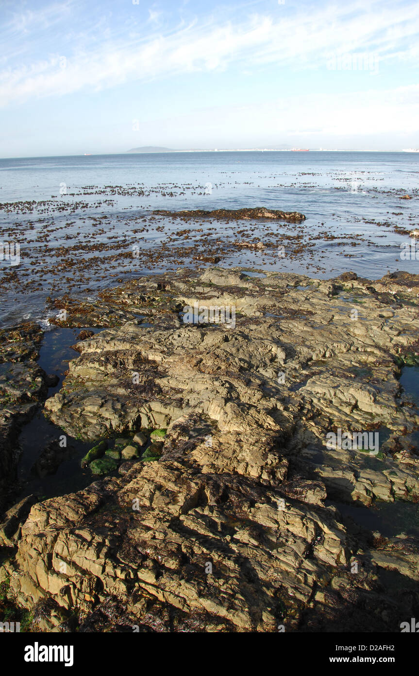 Outdoor oceanbeach hi-res stock photography and images - Alamy